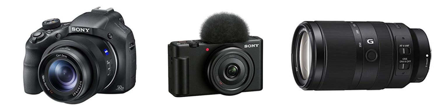 Top 5 Sony Cameras for Wildlife Photo Adventures